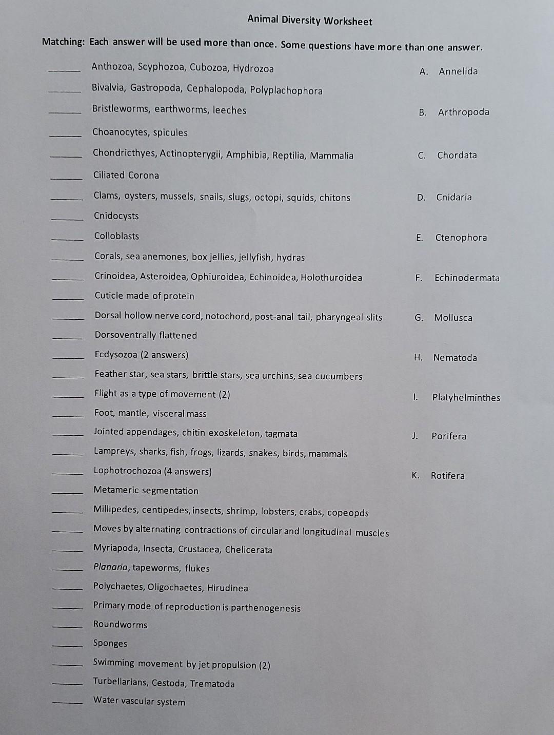 Solved Animal Diversity Worksheet Matching: Each answer will | Chegg.com