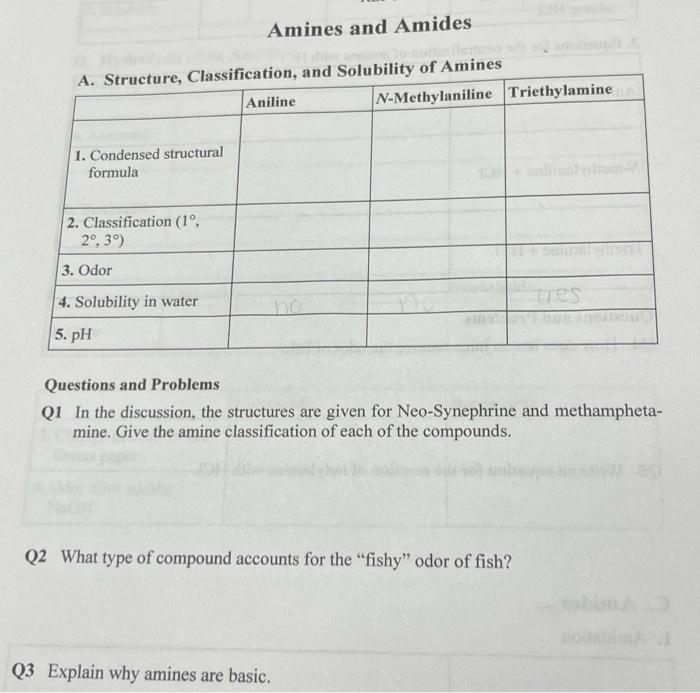 Solved Amines and Amides Questions and Problems Q1 In the | Chegg.com