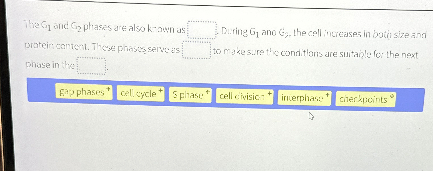 Solved The G1 ﻿and G2 ﻿phases are also known as During G1 | Chegg.com