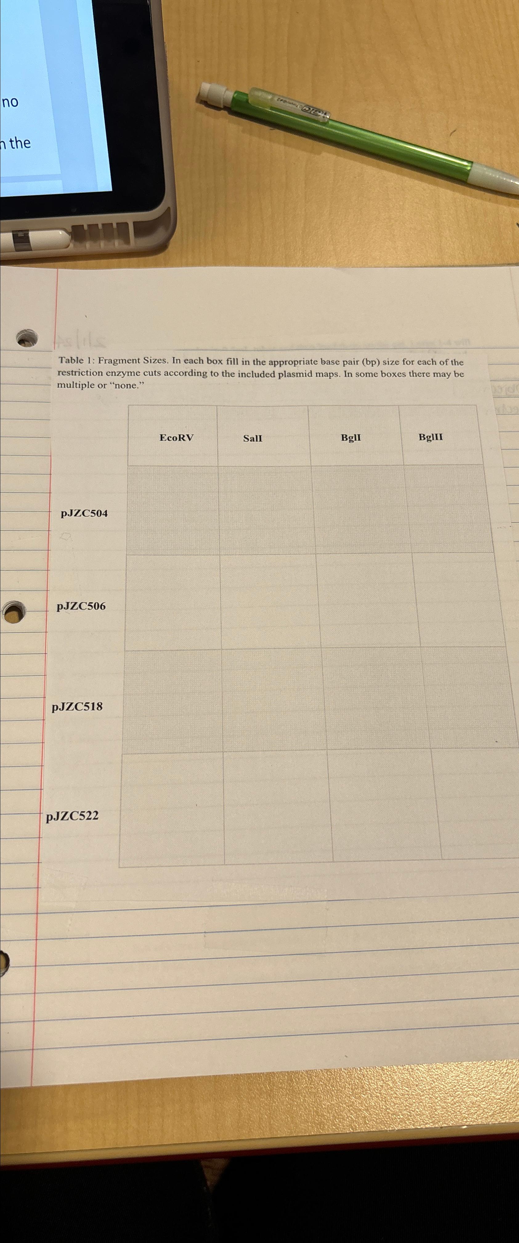 Solved Table 1: Fragment Sizes. In each box fill in the | Chegg.com