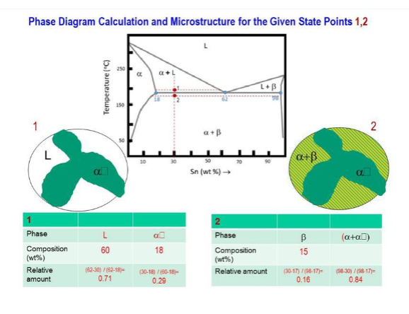 Solved Phase Diagram Calculation and Microstructure for the | Chegg.com