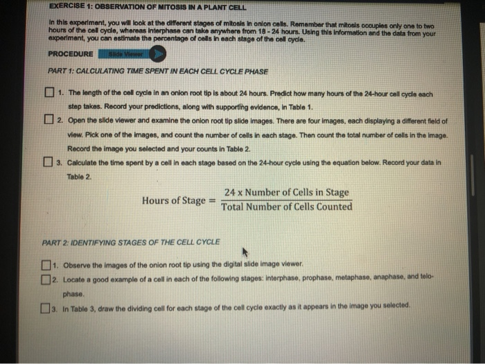 EXERCISE 1: OBSERVATION OF MITOSIS IN A PLANT CELL In | Chegg.com