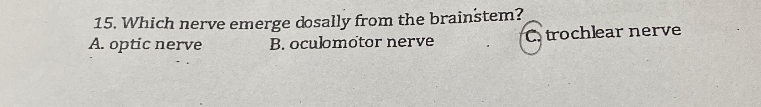 Solved Which nerve emerge dosally from the brainstem?A. | Chegg.com