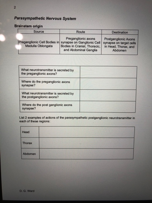 Solved 2 Parasympathetic Nervous System Brainstem origin | Chegg.com