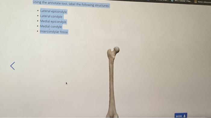 Solved Using the annotate tool, tabel the following | Chegg.com