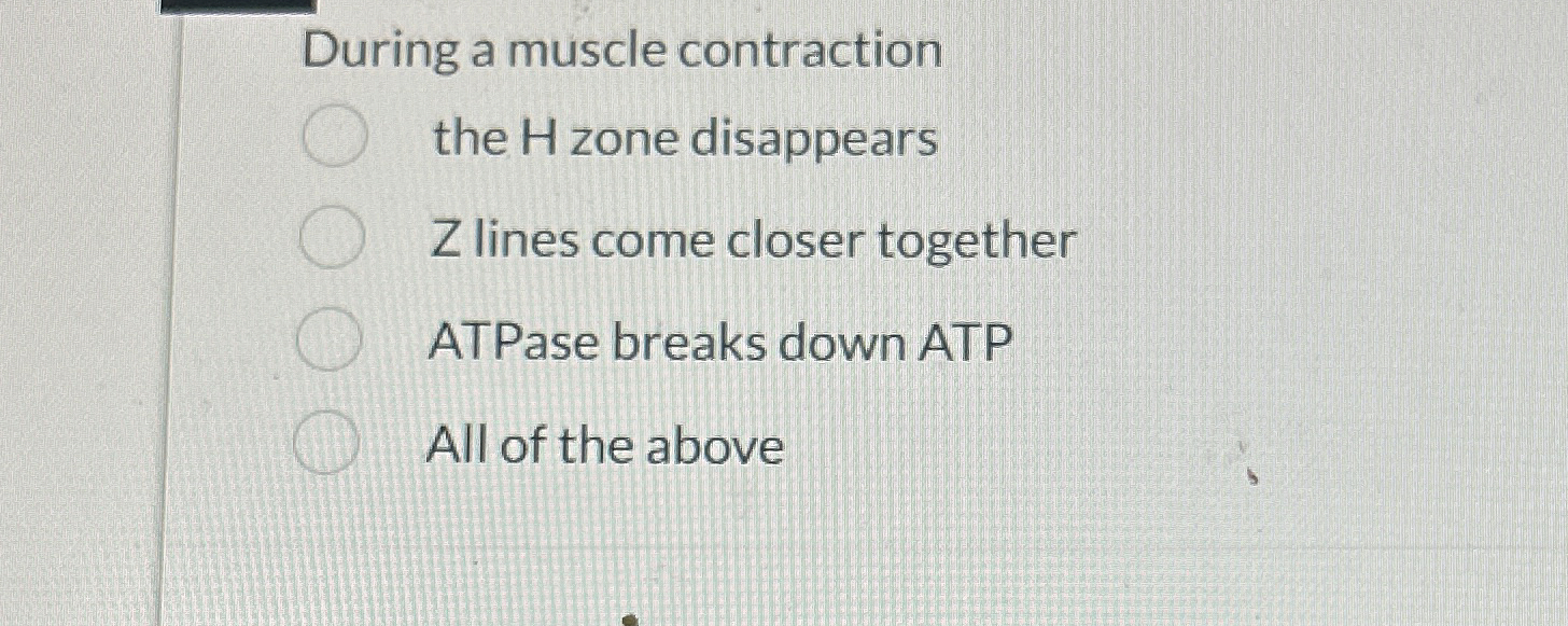 Solved During a muscle contractionthe H zone disappearsZ | Chegg.com