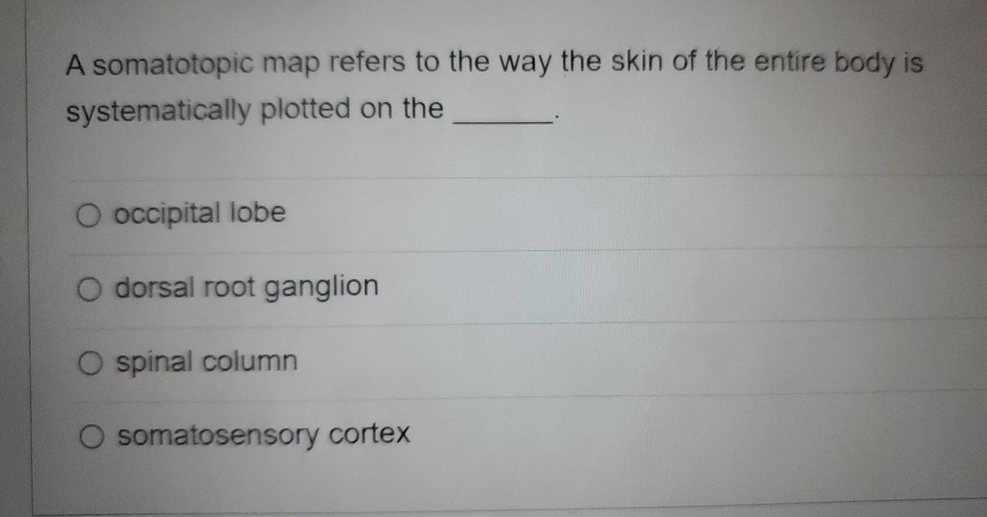 Solved A somatotopic map refers to the way the skin of the | Chegg.com