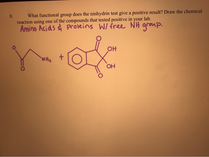 Solved 8. What functional group does the ninhydrin test give | Chegg.com