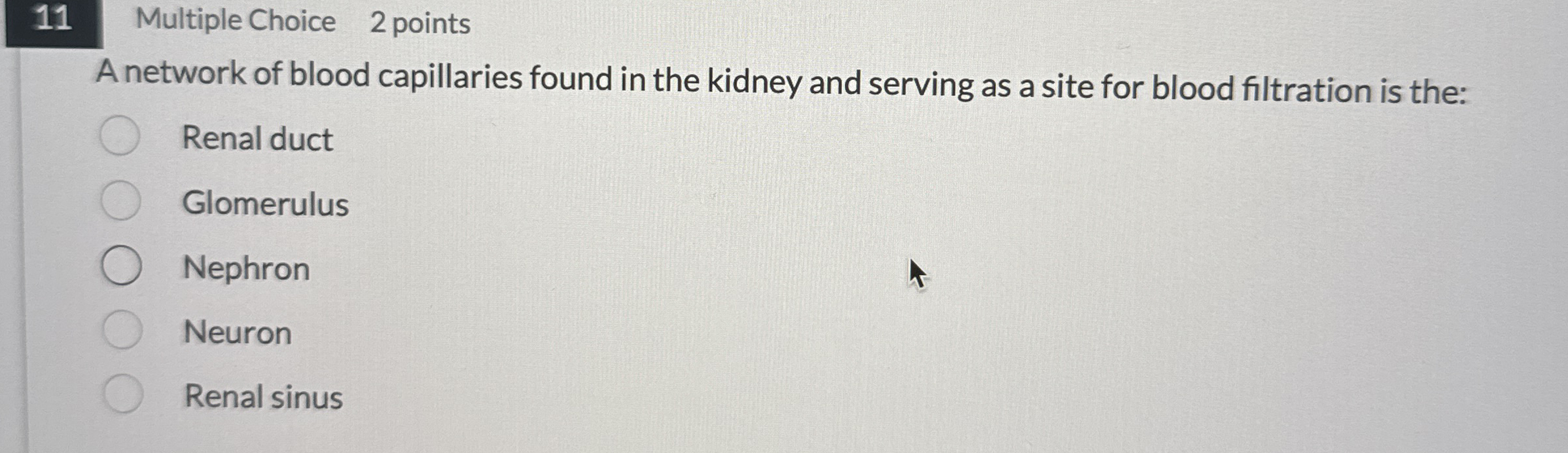 Solved 11 ﻿Multiple Choice 2 ﻿pointsA network of blood | Chegg.com