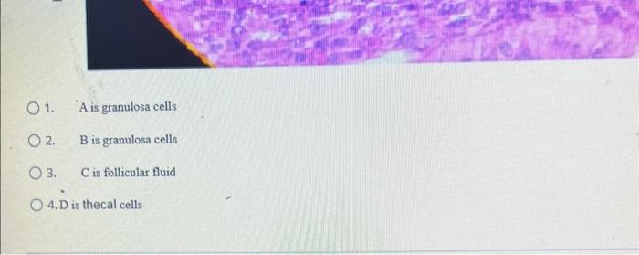 Solved Fertilization envelope is formed during. to block 1. | Chegg.com