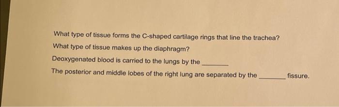 Solved What type of tissue forms the C-shaped cartilage | Chegg.com