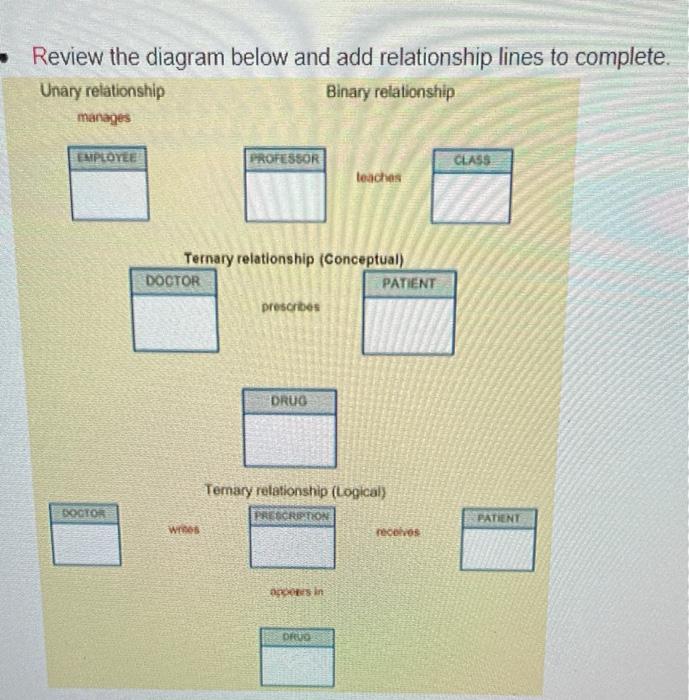 Solved • Review the diagram below and add relationship lines | Chegg.com