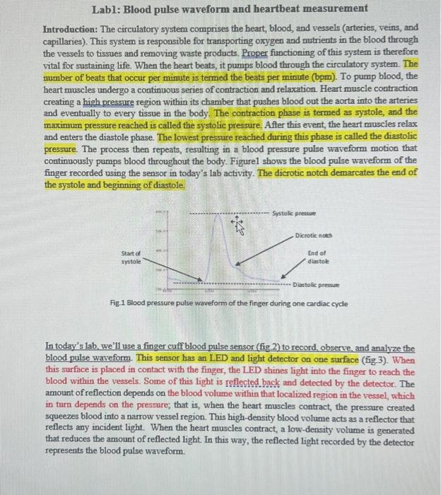 Solved Lab Activityl: Blood pulse waveform recording 1. | Chegg.com