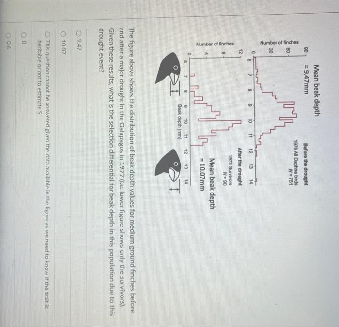 The figure above shows the distribution of beak depth | Chegg.com