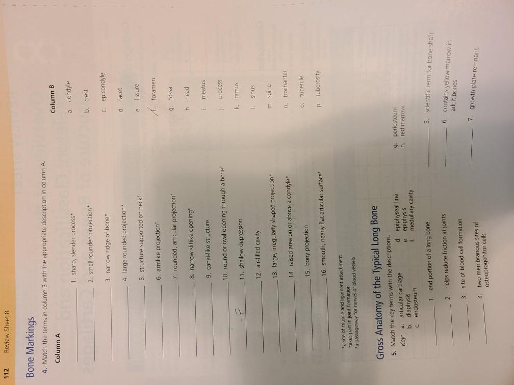 Solved match the terms in column B with the appropriate | Chegg.com