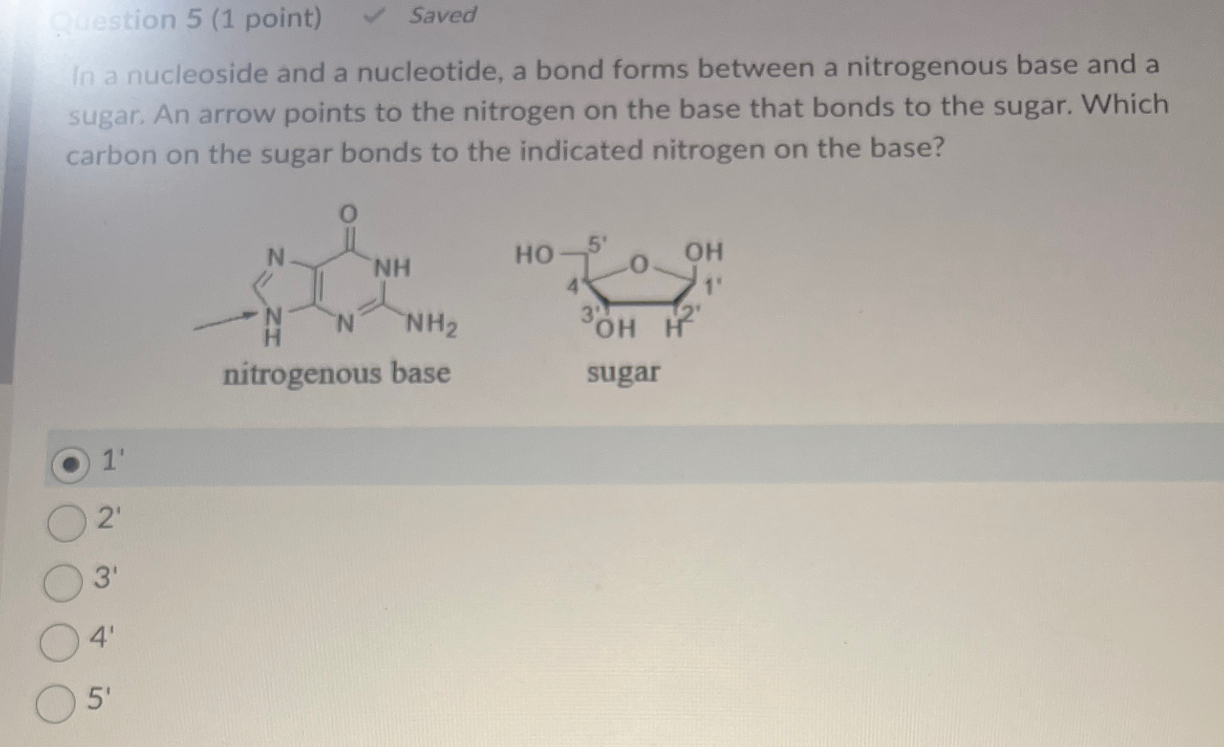 Solved Cuestion 5 (1 ﻿point)SavedIn a nucleoside and a | Chegg.com