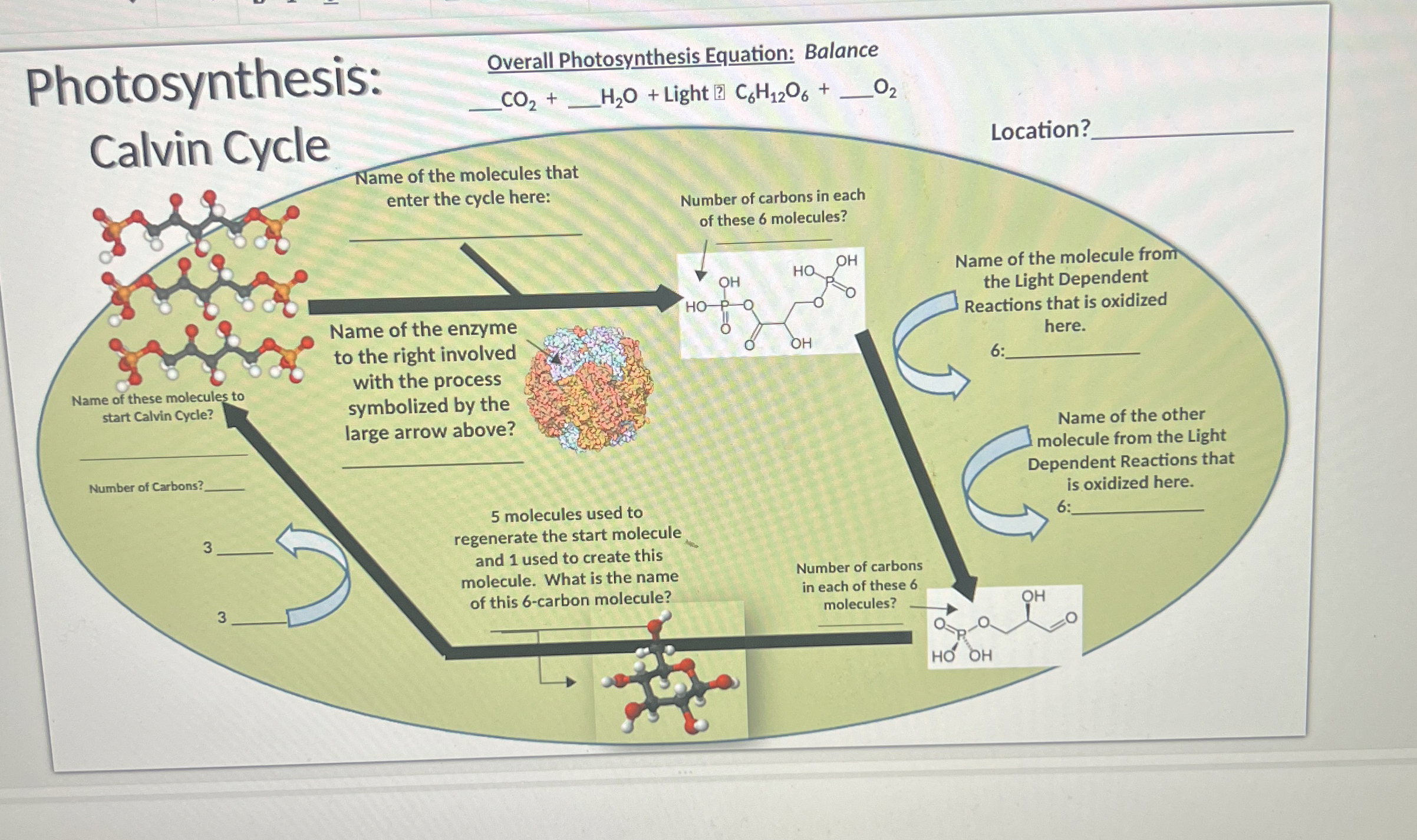 Solved Photosynthesis:Overall Photosynthesis Equation: | Chegg.com
