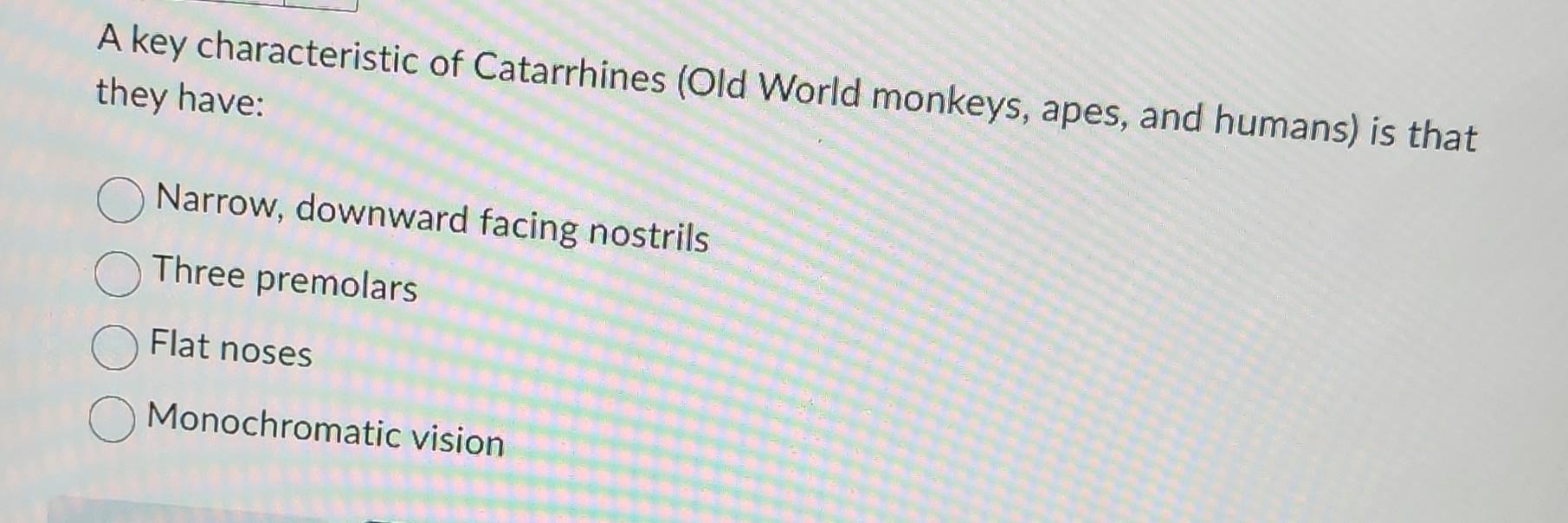 A key characteristic of Catarrhines (Old World | Chegg.com