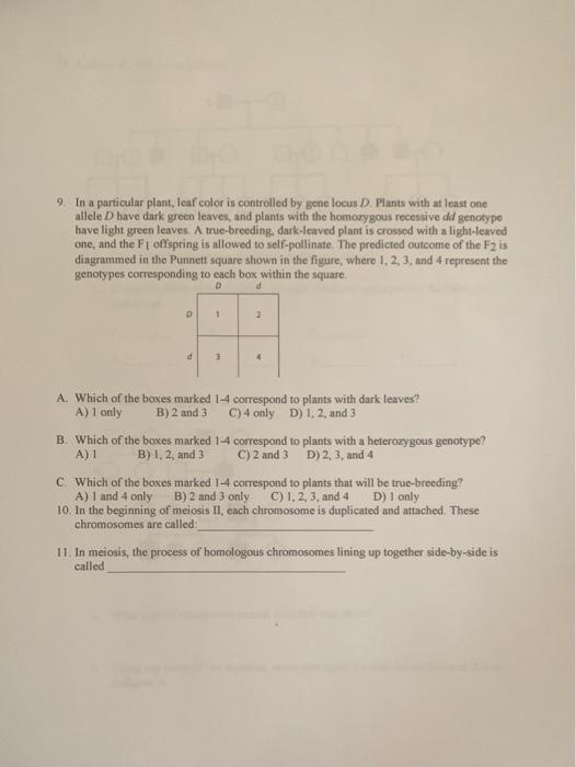 Solved 9. In a particular plant, leaf color is controlled by | Chegg.com