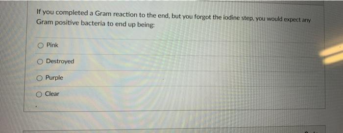 Solved The above micrograph shows the result of a Gram stain | Chegg.com