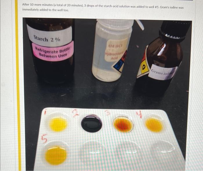 Solved PART IV: HYDROLYSIS OF STARCH USING ACID Starch can | Chegg.com