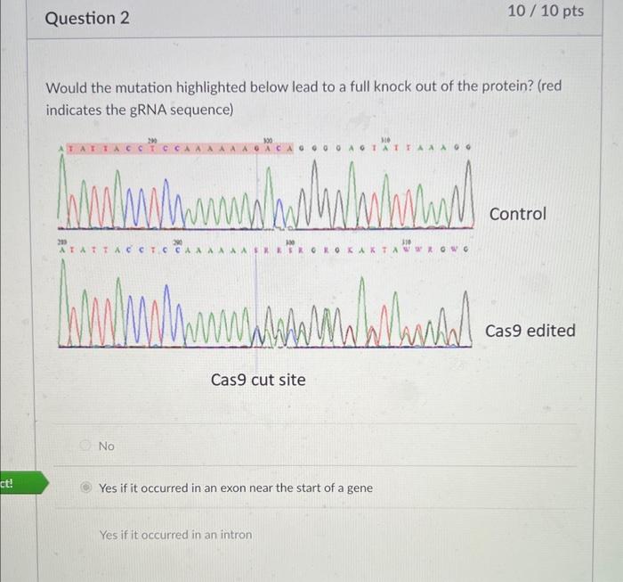 Solved What type of mutations have occurred in the Cas9 | Chegg.com