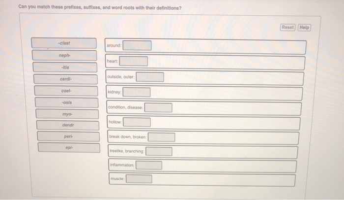 Solved Can you match these prefixes, suffixes, and word | Chegg.com