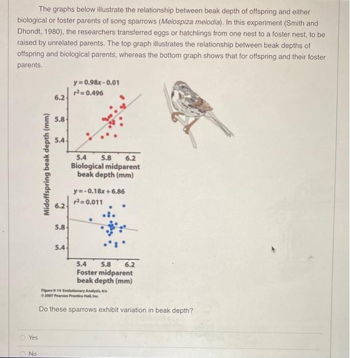 Solved This graph shows beak depth (thickness) of parent and | Chegg.com