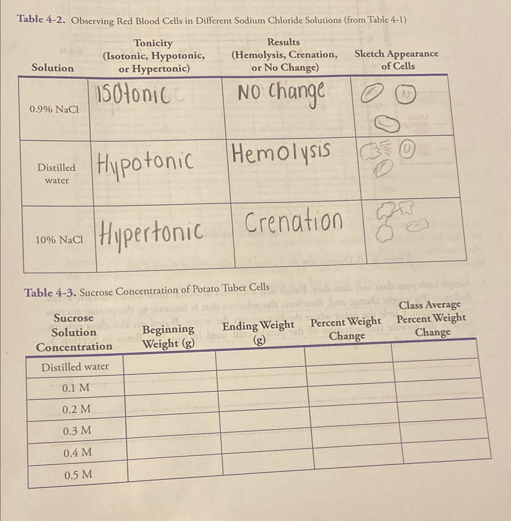 Solved Table 4-2. ﻿Observing Red Blood Cells in Different | Chegg.com