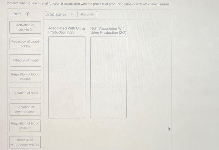 Solved Indicate whether each renal function is associated | Chegg.com