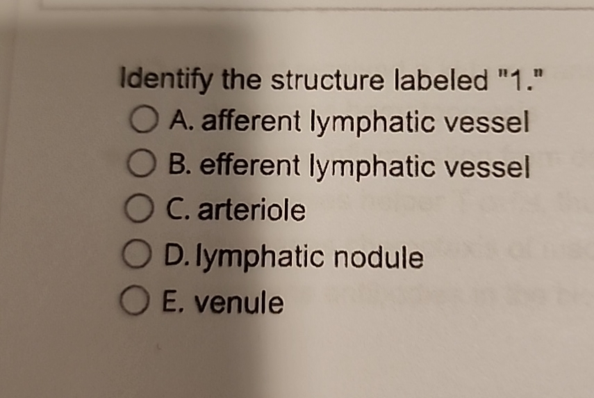 Solved Identify the structure labeled "1."A. ﻿afferent | Chegg.com
