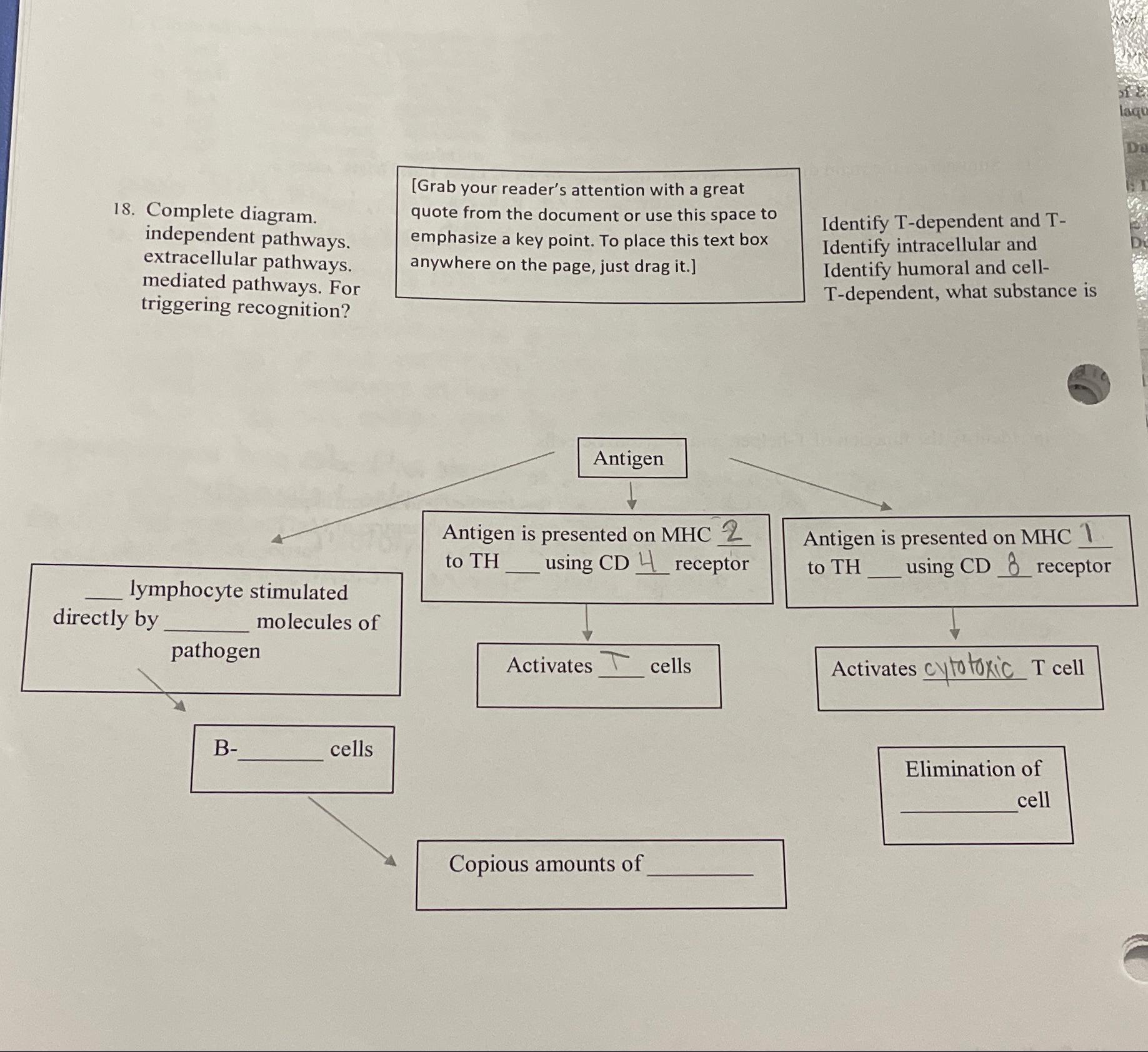 Solved Complete diagram. independent pathways. extracellular | Chegg.com