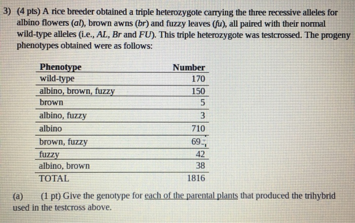 Solved 3) (4 pts) A rice breeder obtained a triple | Chegg.com