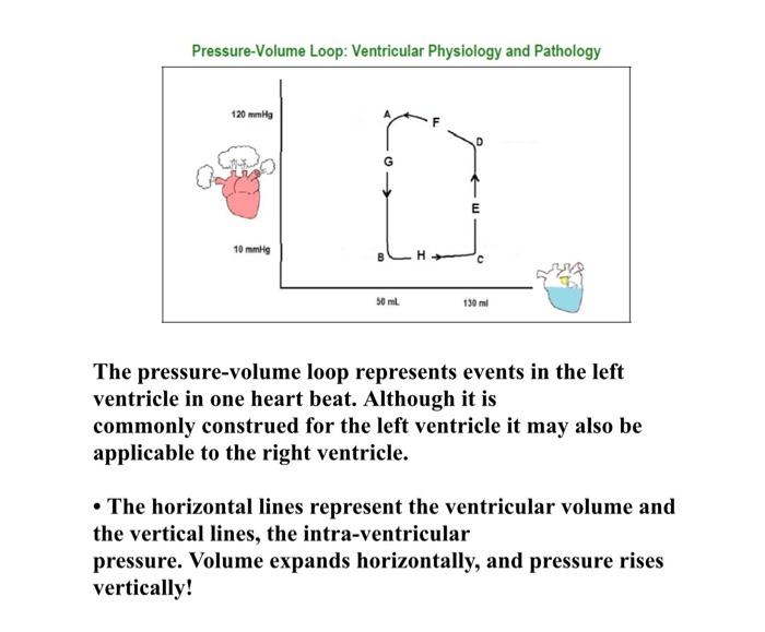 Solved Pressure-Volume Loop: Ventricular Physiology and | Chegg.com