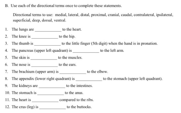 Solved B. Use each of the directional terms once to complete | Chegg.com