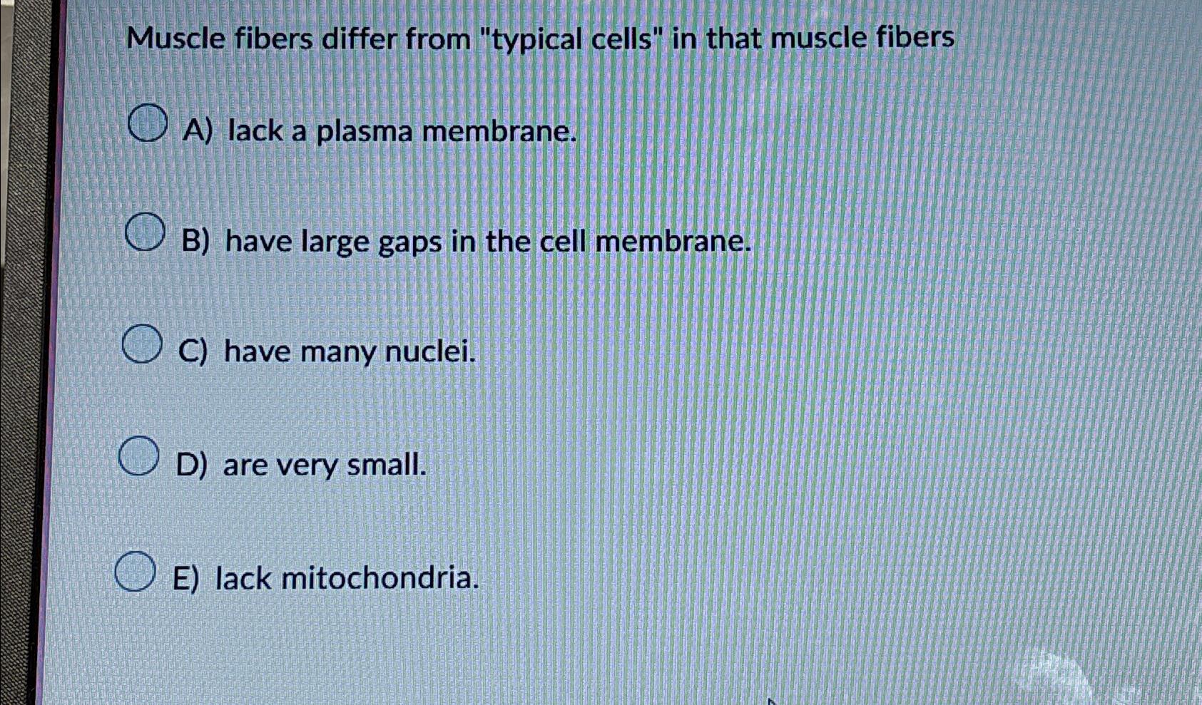 Solved Muscle fibers differ from "typical cells" in that | Chegg.com