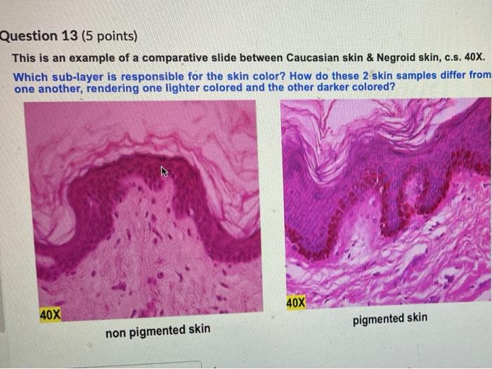 Solved Question 13 (5 points) This is an example of a | Chegg.com