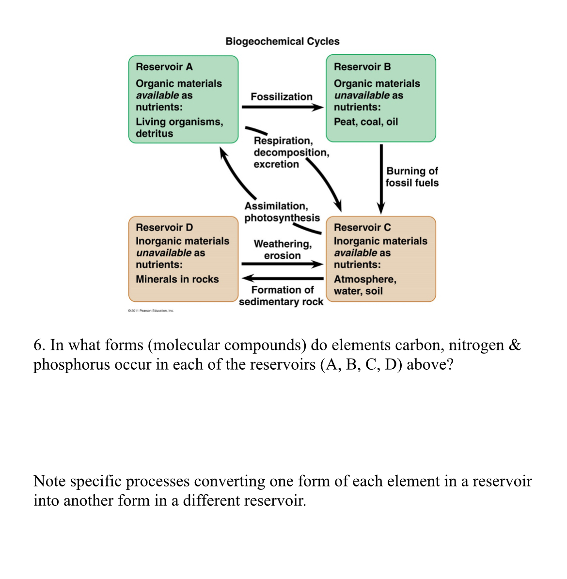 Solved Biogeochemical Cycles6. ﻿In what forms (molecular | Chegg.com