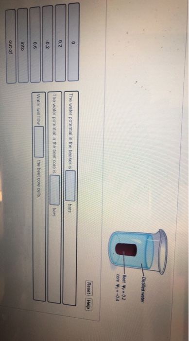 Solved -Distilled water Beet V, 02 core Vs =-0.4 Reset Help | Chegg.com