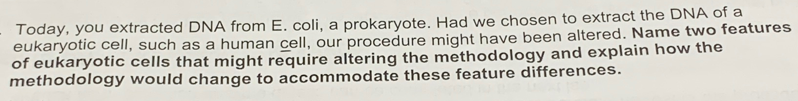 Solved Today, you extracted DNA from E. ﻿coli, a prokaryote. | Chegg.com