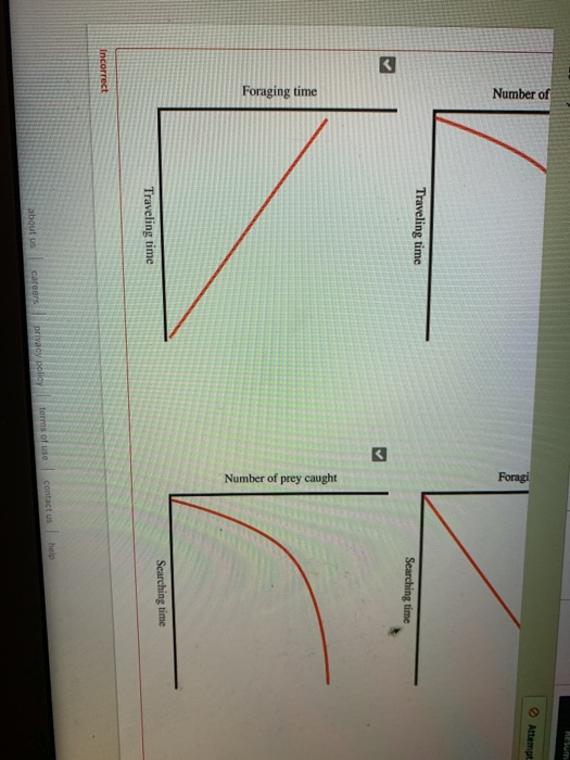 Atten Select the graphs that depict assumptions of | Chegg.com
