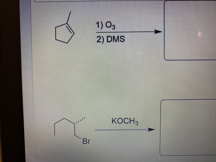 Solved 1) Oz 2) DMS KOCH3 Br | Chegg.com
