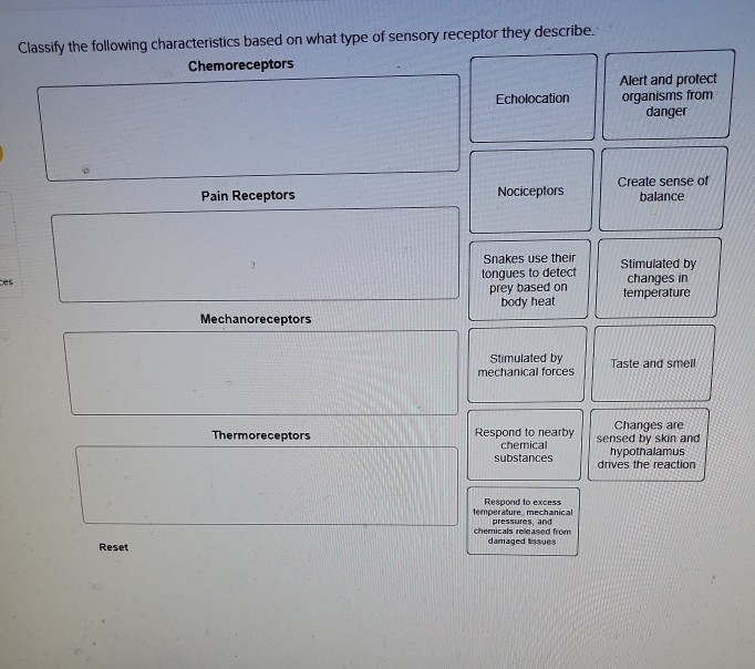 Solved Classify the following characteristics based on what | Chegg.com