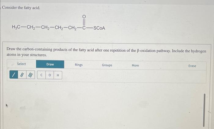 Solved Consider the fatty acid. Draw the carbon-containing | Chegg.com
