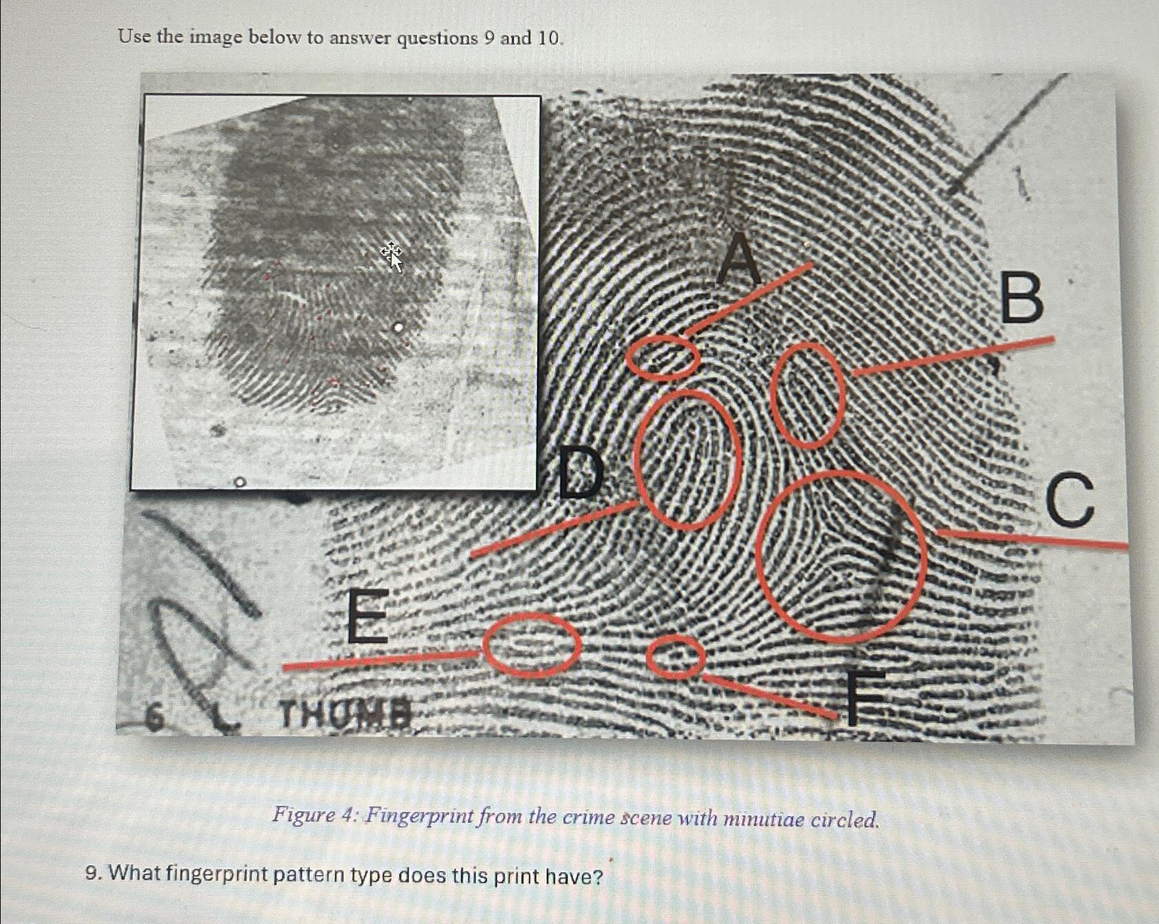 Solved Use the image below to answer questions 9 ﻿and | Chegg.com