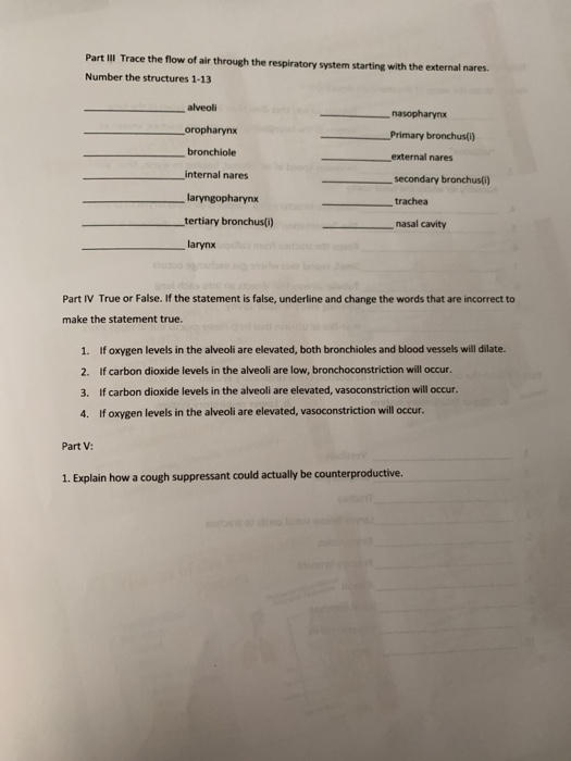 Solved Respiratory Exercise Parti Write the name of the | Chegg.com