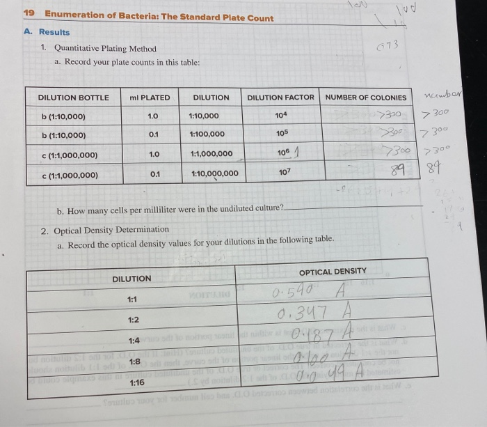 Solved 19 Enumeration of Bacteria: The Standard Plate Count | Chegg.com