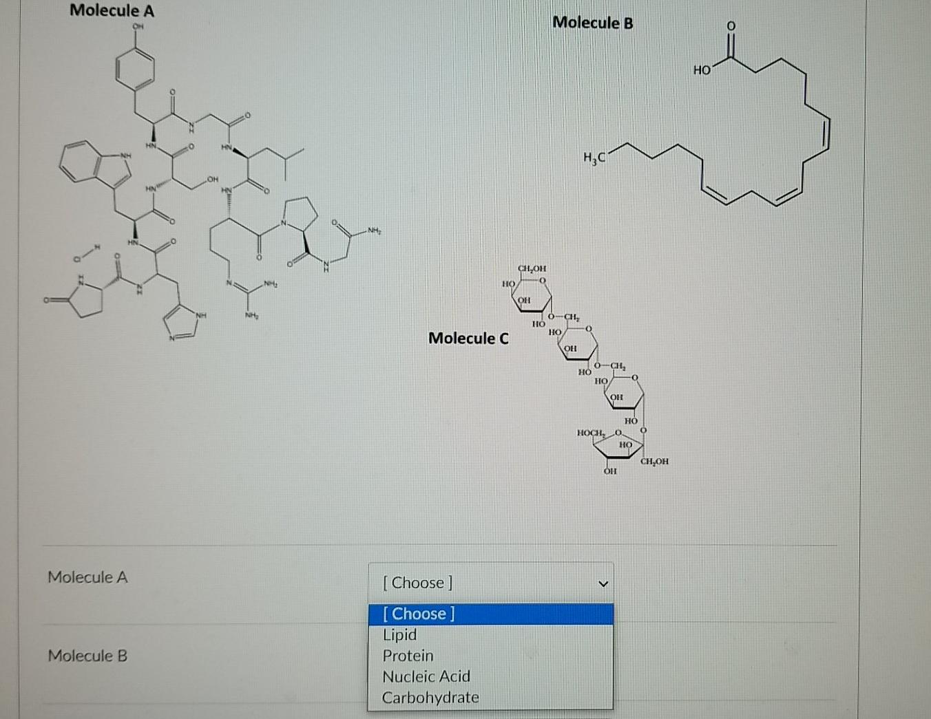 Solved Molecule A Molecule B ON HO H2C NH O CH, OH HO Ne OH | Chegg.com