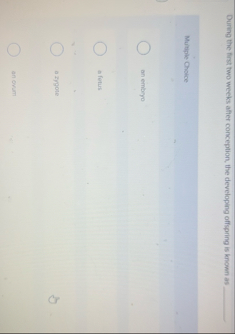 Solved During the first two weeks after conception, the | Chegg.com