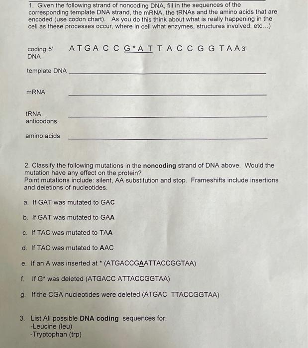 Solved 1. Given the following strand of noncoding DNA, fill | Chegg.com